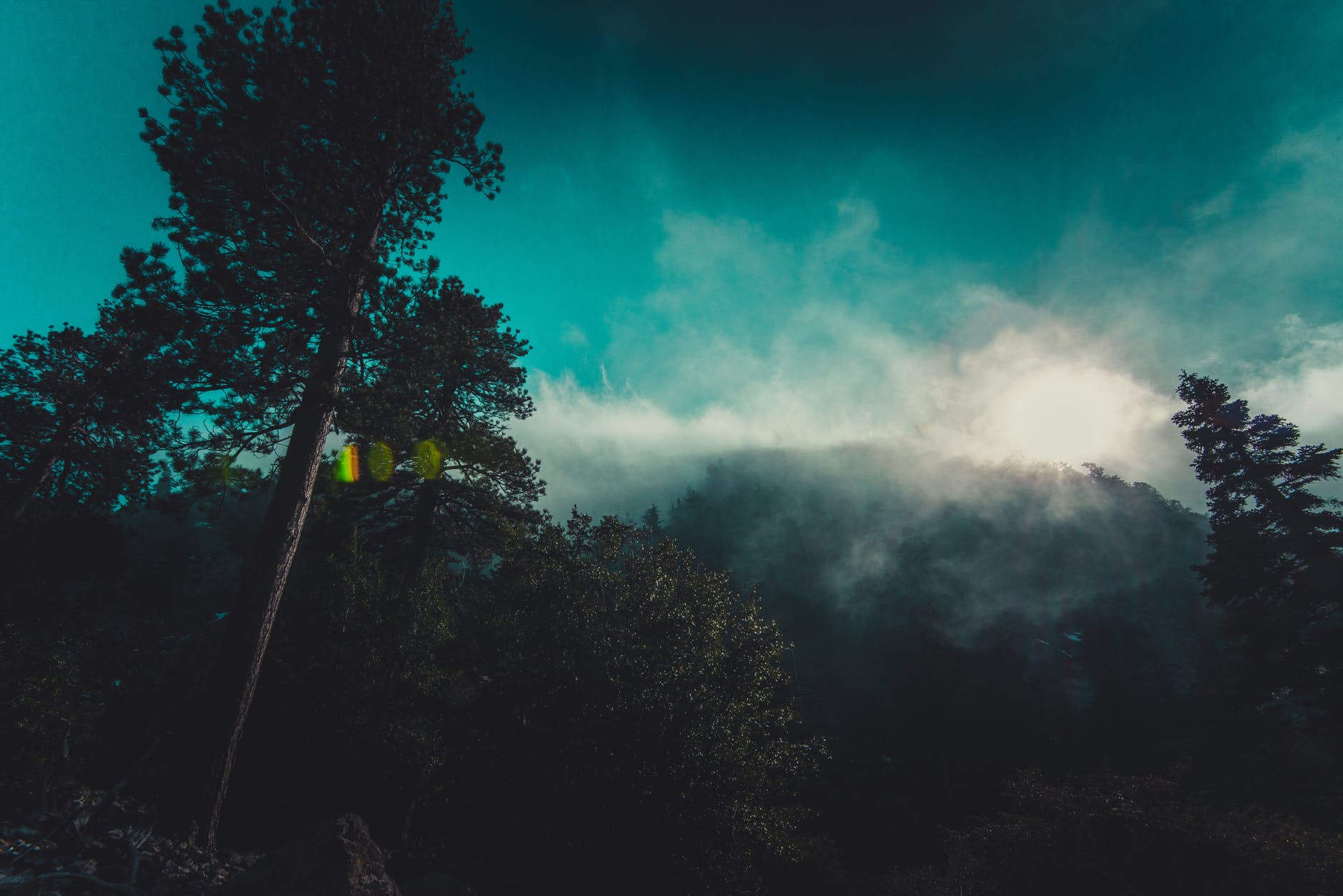 Feeling Foggy? A look at how your inner ear can affect the brain and ...